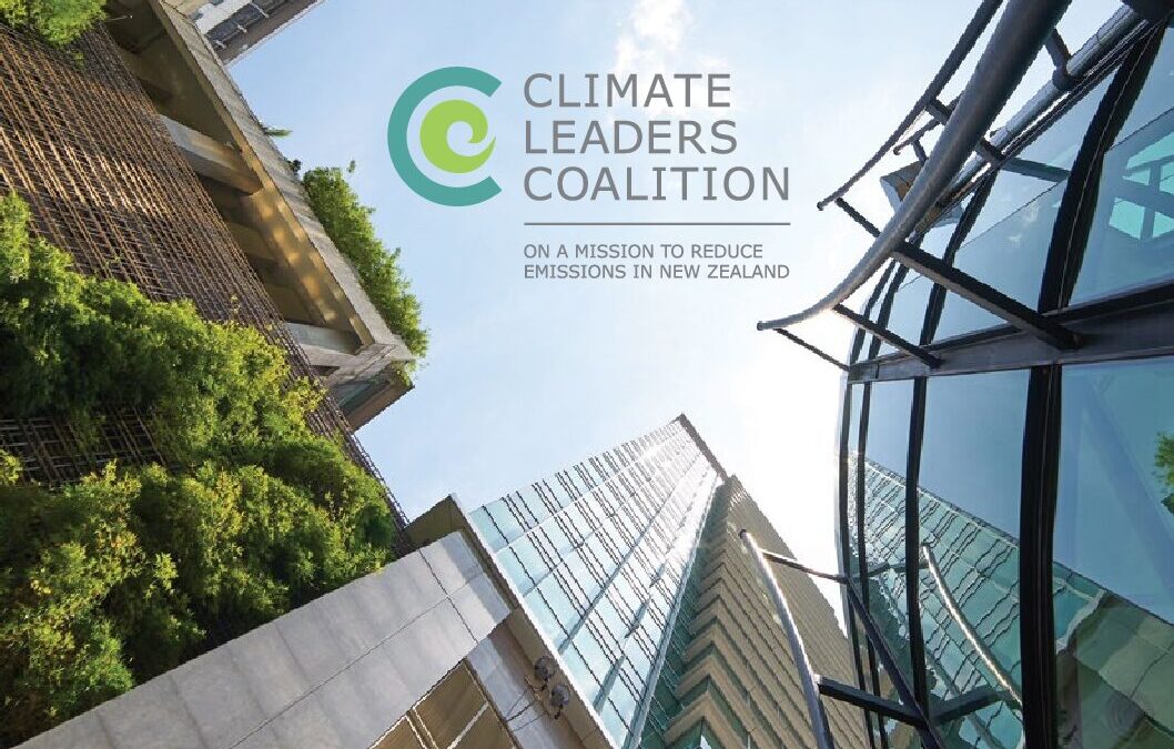 CLC-Strategy-2020-2025 | Climate Leaders Coalition